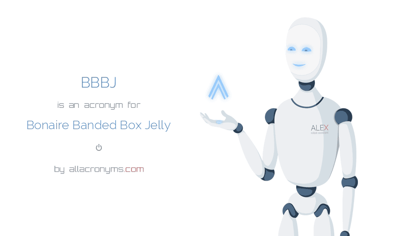 BBBJ - Bonaire Banded Box Jelly