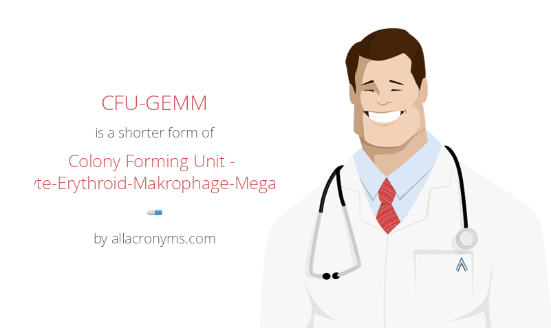 CFU-GEMM Colony Forming Unit - Granulocyte-Erythroid-Makrophage ...