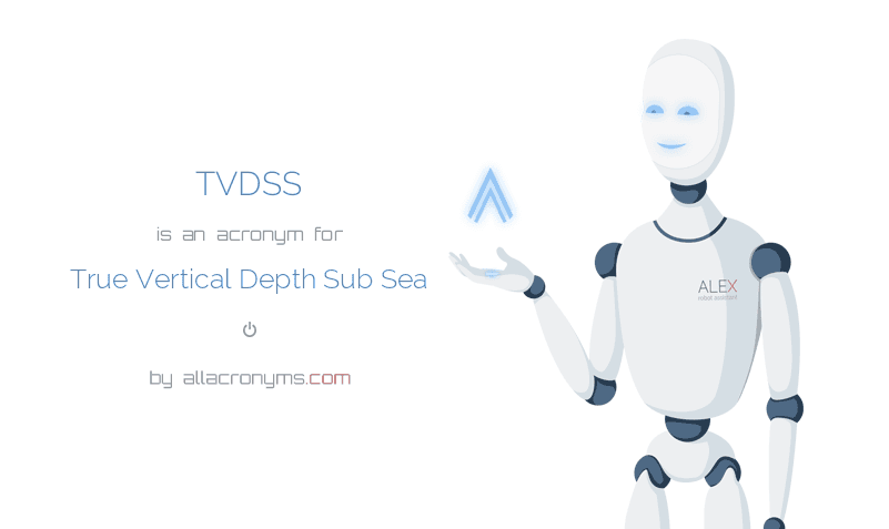 TVDSS True Vertical Depth Sub Sea