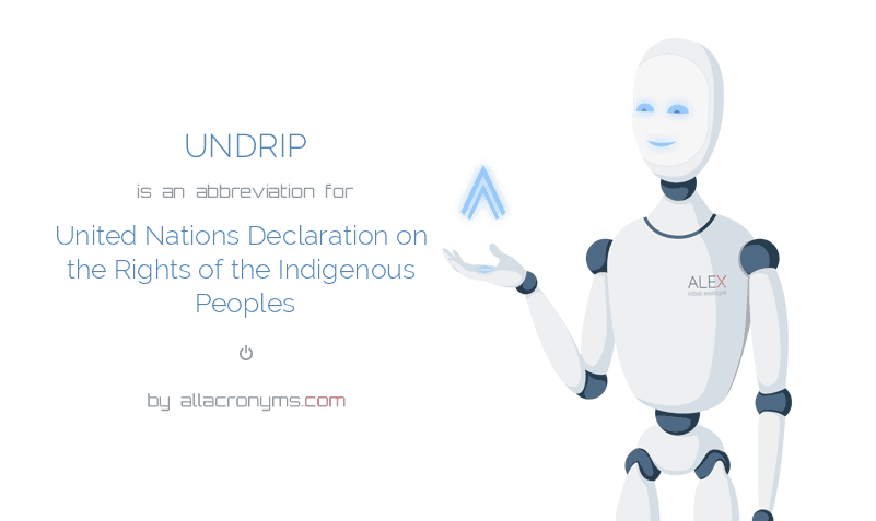 UNDRIP United Nations Declaration on the Rights of the Indigenous Peoples