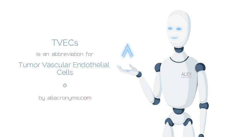 TVECS Tumor Vascular Endothelial Cells