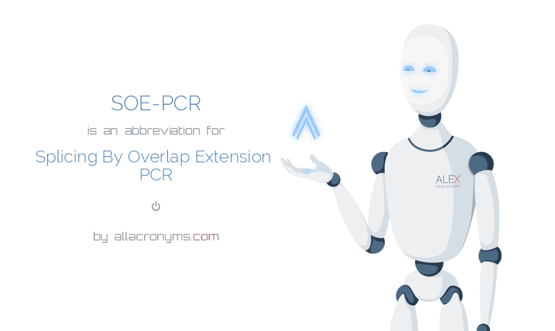SOE-PCR Splicing By Overlap Extension PCR