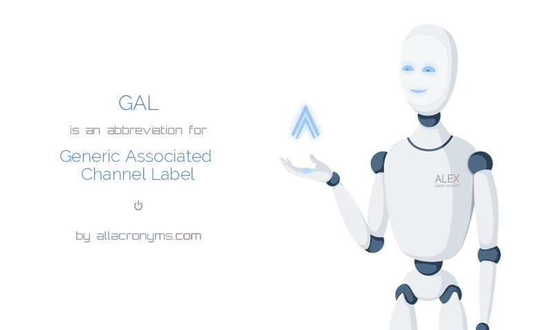 GAL Generic Associated Channel Label GAL Generic Associated Channel Label